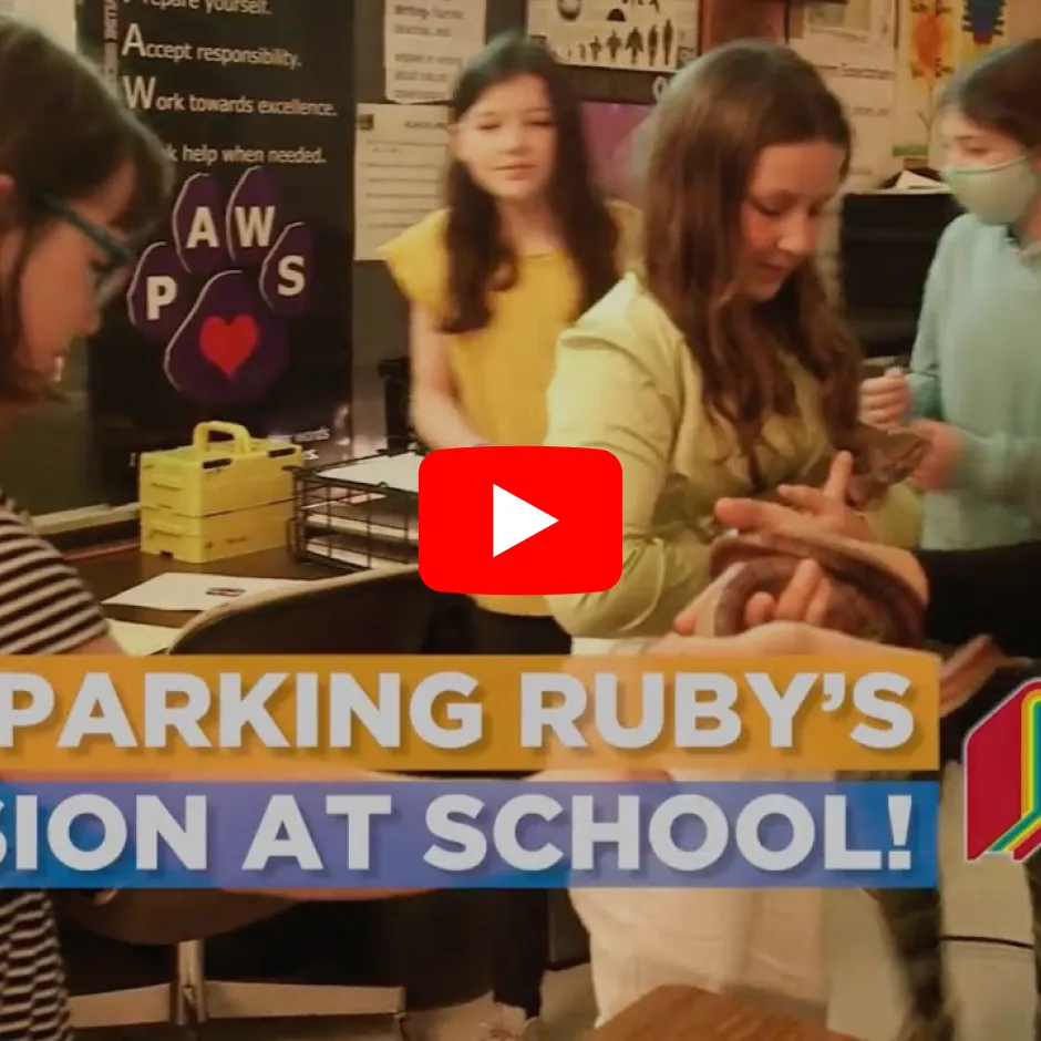 Ruby’s Rainbow | Sparking Ruby's Passion at School!